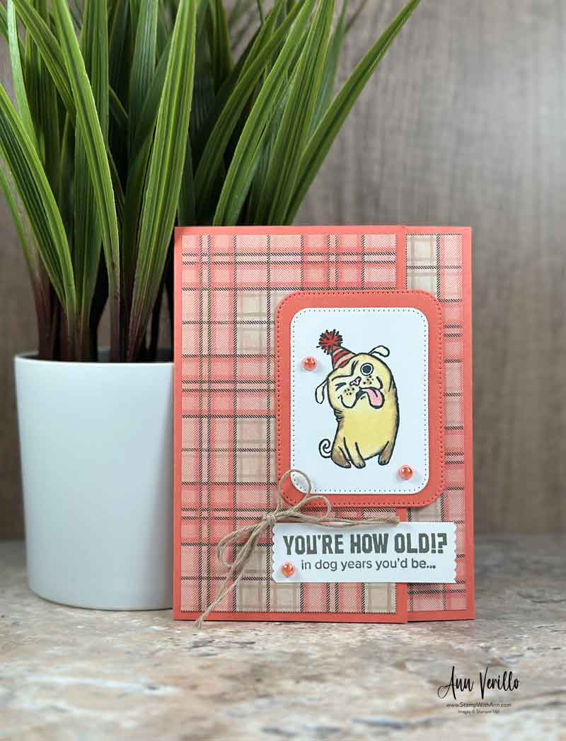 Stampin' Up! One More Year Fun Fold Card - Ann Verillo, StampWithAnn.com